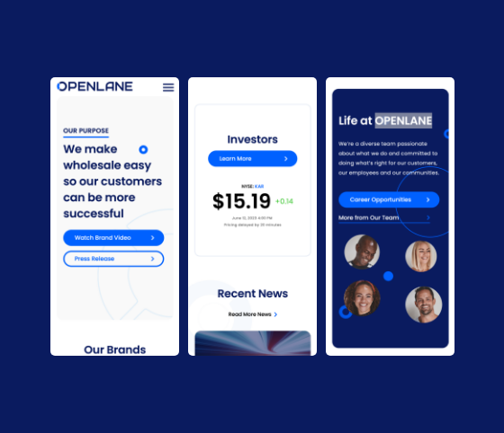 OPENLANE - Curran & Connors | Corporate Report Design Firm