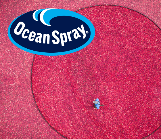 Ocean Spray - Curran & Connors | Corporate Report Design Firm